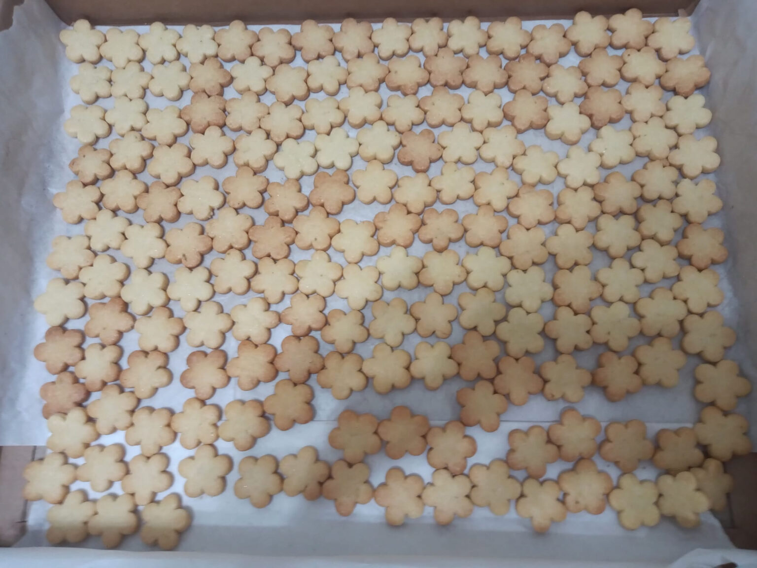 Biscoitos Caseiros: 3 receitas muito fáceis! - Confeiteira