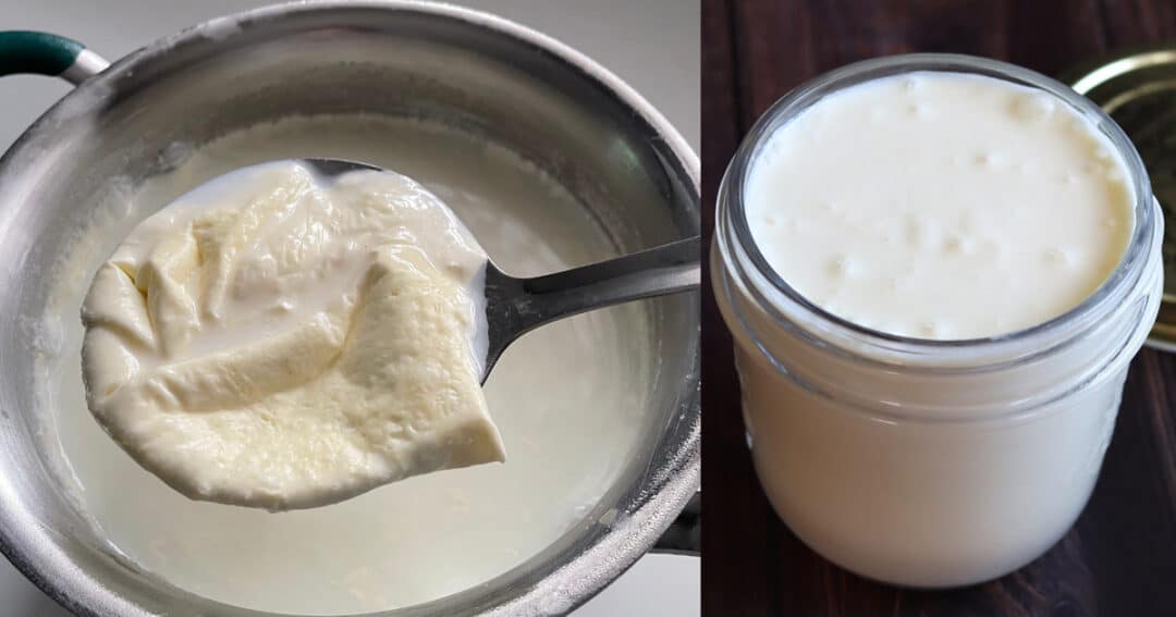 Como fazer Nata Caseira? Receita Fácil com poucos ingredientes!